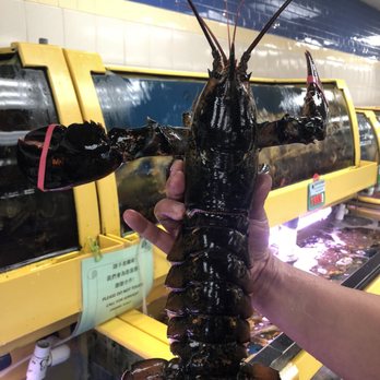 SEAFOOD PARADISE FISH MARKET - Updated December 2025 - 223 Photos & 111 ...