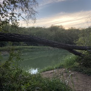 PICKRELL PARK - Updated September 2025 - 17 Photos - 200 Aero Ave ...