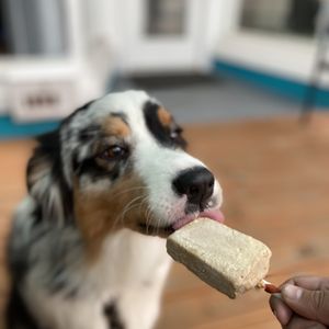 IVANHOE’S DRIVE IN - Updated August 2024 - 150 Photos & 178 Reviews ...