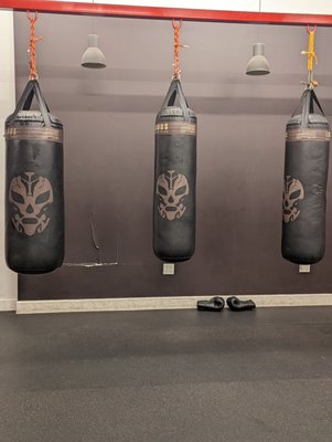 LOBOS BOXING CLUB - Updated May 2025 - 55 Photos & 22 Reviews - 7162 ...