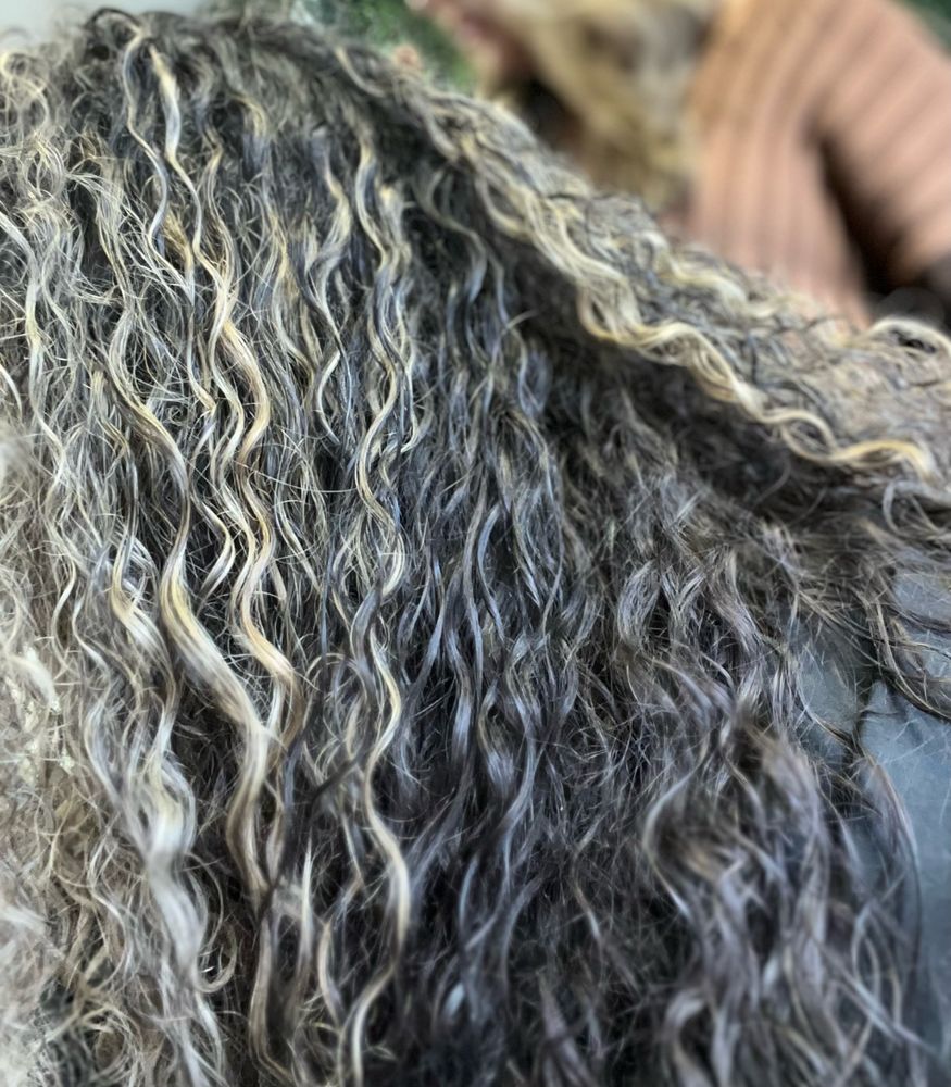 RIZZIERI SALON & SPA - Updated November 2024 - 36 Photos & 78 Reviews ...