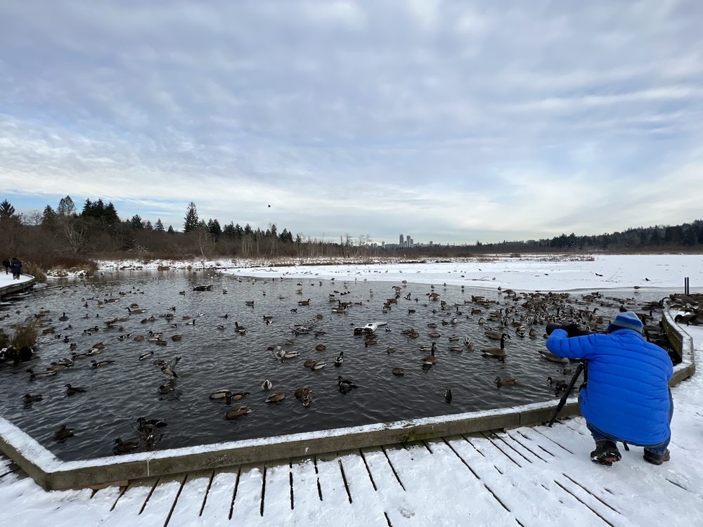 BURNABY LAKE REGIONAL NATURE PARK - Updated November 2024 - 109 Photos ...
