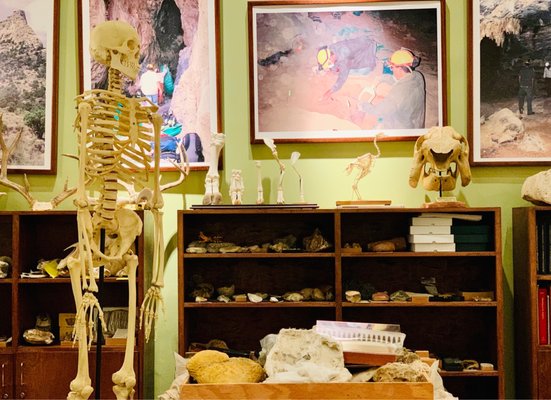 TEXAS SCIENCE & NATURAL HISTORY MUSEUM - 134 Photos & 42 Reviews - 2400 ...