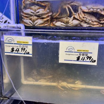 OCEAN SEAFOOD MARKET - Updated September 2025 - 49 Photos & 11 Reviews ...