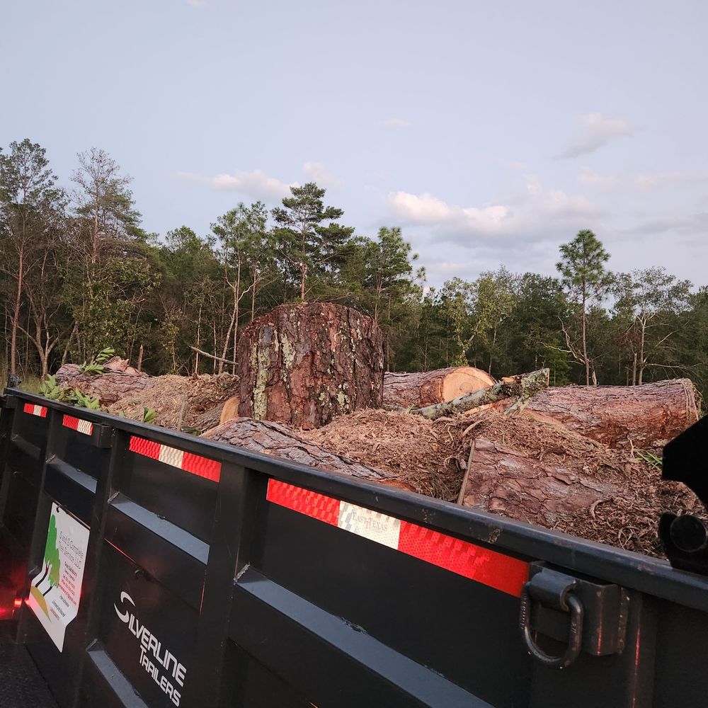 S AND S COMPLETE TREE SERVICE - Updated October 2025 - 21 Photos ...