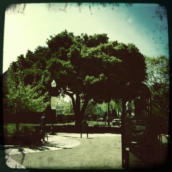 SAN JOSE THEODORE LENZEN PARK - Updated October 2025 - 50 Photos & 15 ...