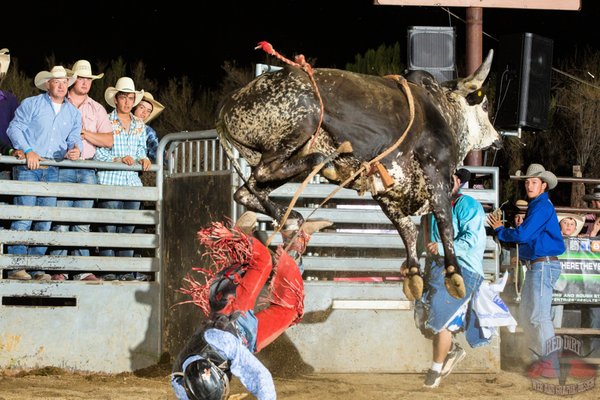 ROADRUNNER RESTAURANT & SALOON - Updated October 2025 - 227 Photos ...