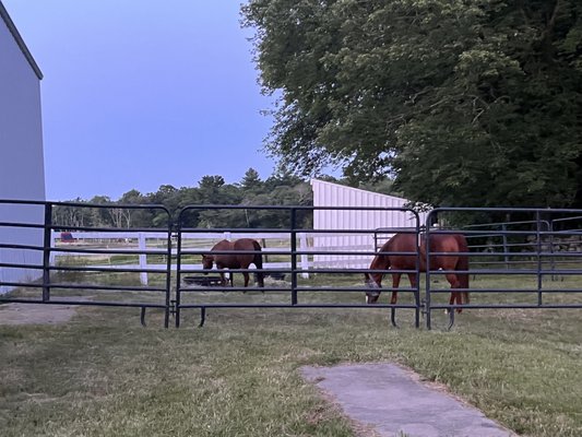 ROMANY STABLES - Updated December 2025 - Request Information - 164 ...