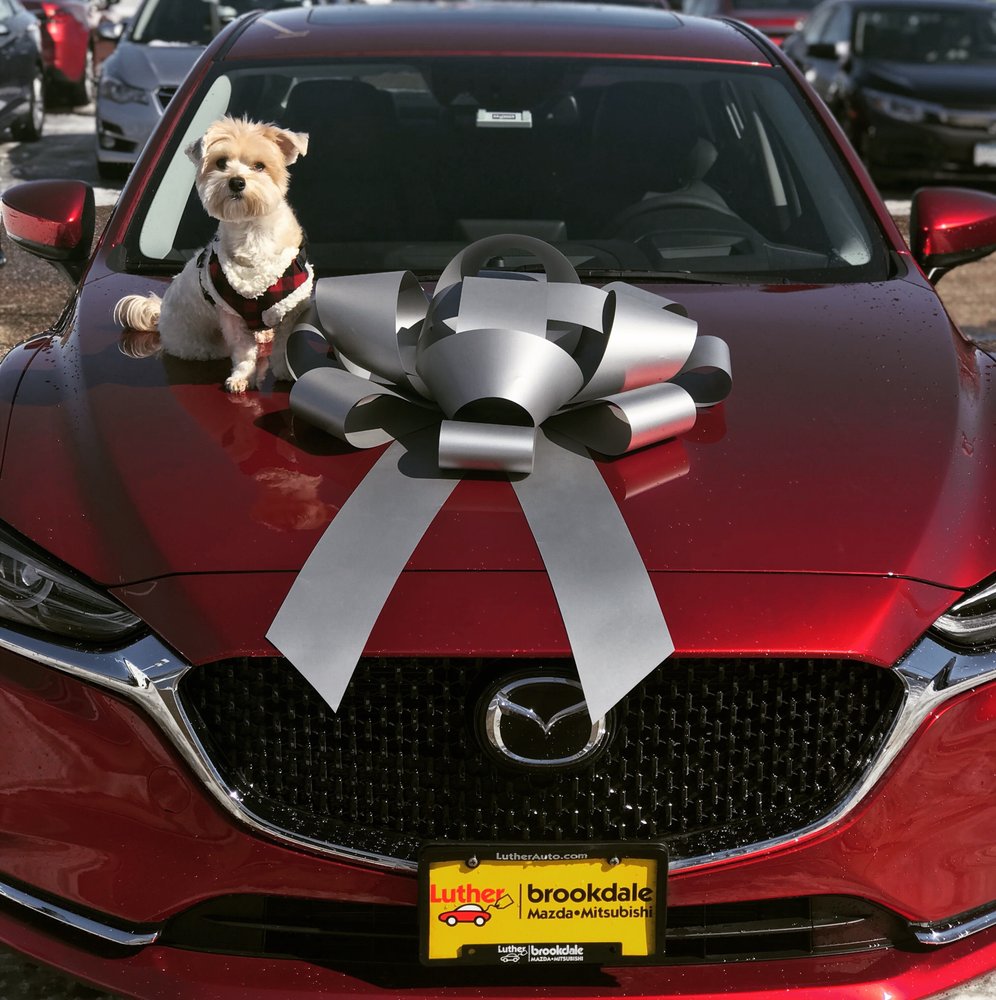 LUTHER BROOKDALE MAZDA MITSUBISHI - 55 Reviews - Used Car Dealers ...