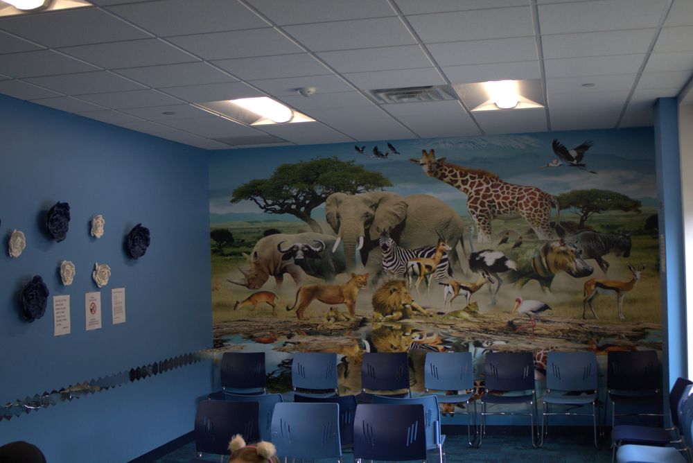 MIRACLE DENTAL ASSOCIATES-PLEASANT HILLS - Updated April 2025 - 21 ...