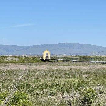 ALVISO MARINA COUNTY PARK - Updated September 2025 - 1747 Photos & 226 ...