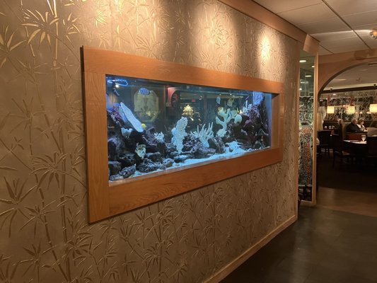 HUNAN LION - Updated December 2025 - 204 Photos & 286 Reviews - 2038 ...