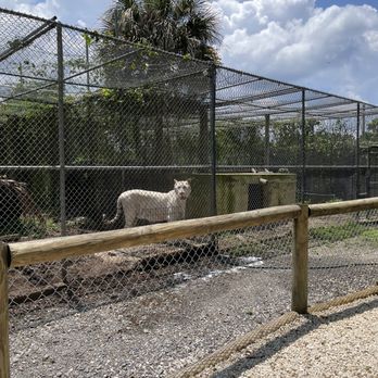 EVERGLADES OUTPOST - Updated December 2024 - 371 Photos & 101 Reviews ...