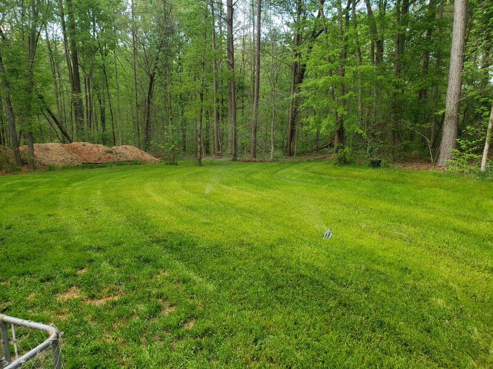 GATORS GRASS - Updated January 2025 - Alto, Georgia - Lawn Services ...