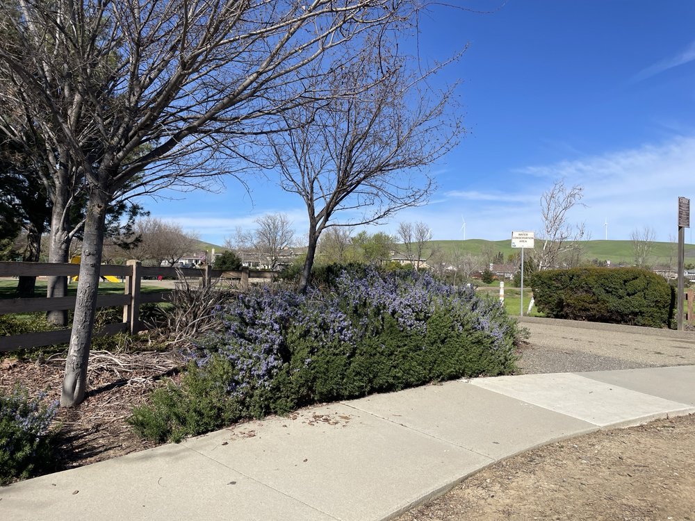 ALTAMONT CREEK PARK - Updated December 2025 - 6800 Altamont Crk Dr ...