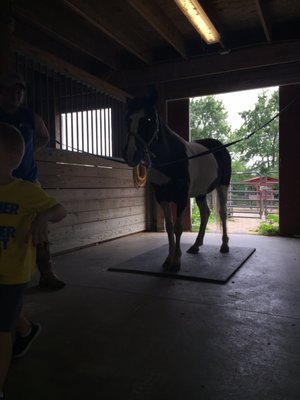 PARKY’S FARM - Updated December 2024 - 20 Photos - 10037 Daly Rd ...