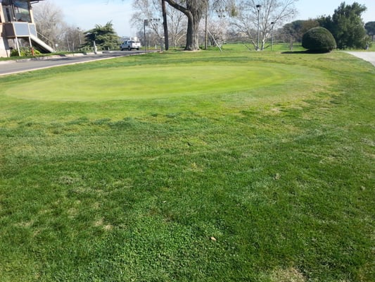 DRYDEN PARK GOLF COURSE - Updated December 2025 - 10 Photos & 15 ...