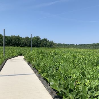 R GARLAND DODD PARK AT POINT OF ROCKS - Updated December 2025 - 89 ...