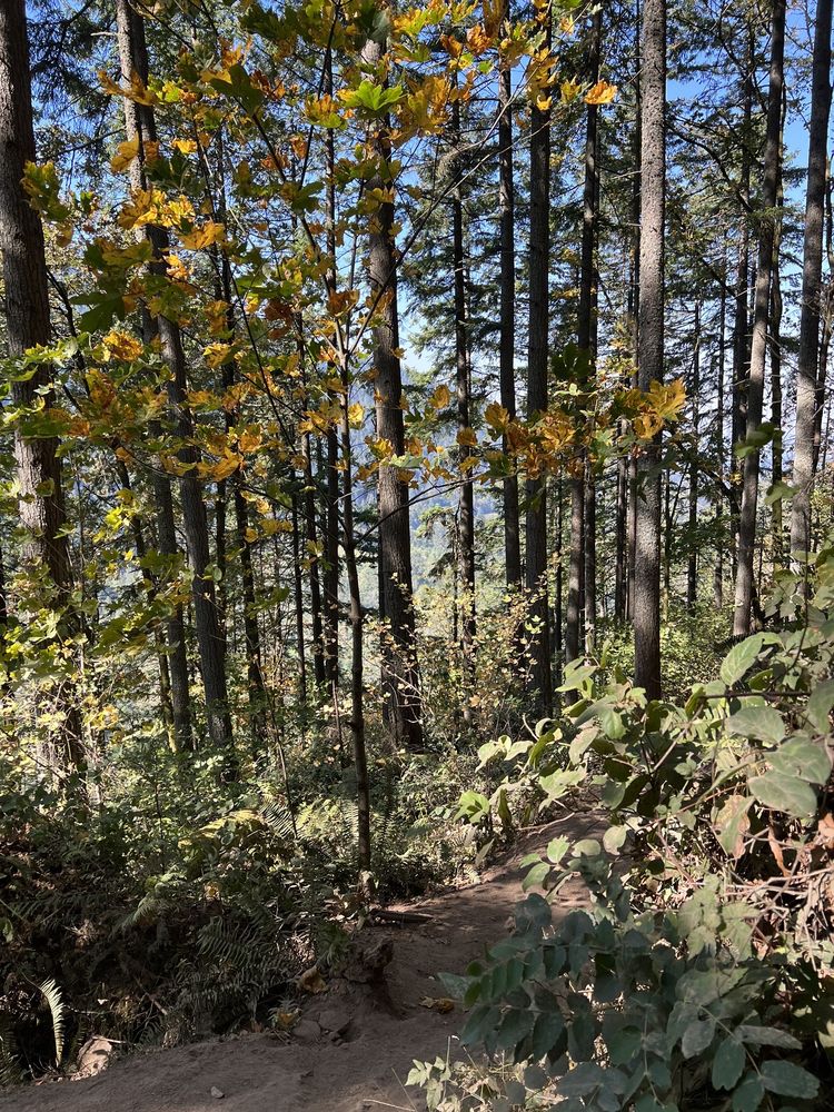 POO POO POINT - CHIRICO TRAIL - Updated July 2025 - 464 Photos & 163 ...