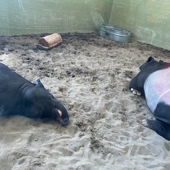 Photos of POINT DEFIANCE ZOO & AQUARIUM - Updated August 2024 - 1522 ...