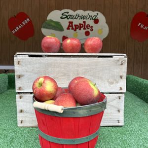 LEIDEL’S APPLES - Updated January 2025 - 704 State Hwy 16, La Crescent ...