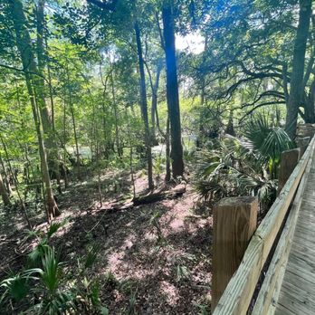 FANNING SPRINGS STATE PARK - Updated December 2025 - 133 Photos & 26 ...