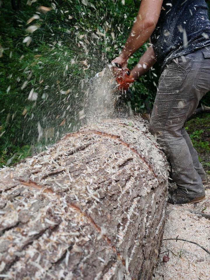 BIC OUTDOOR & TREE SERVICE - Updated December 2025 - 207 W King St ...