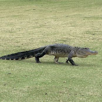 RIVER POINT GOLF CLUB AT RICHMOND - Updated December 2025 - 13 Photos ...