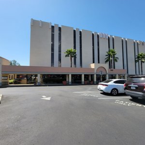 CYRUS TORCHINSKY, MD, PHD - Updated March 2025 - 93 Reviews - 4060 ...