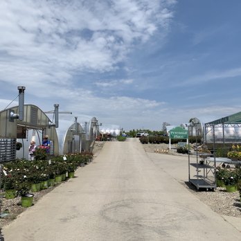 Baetens Nursery Greenhouse