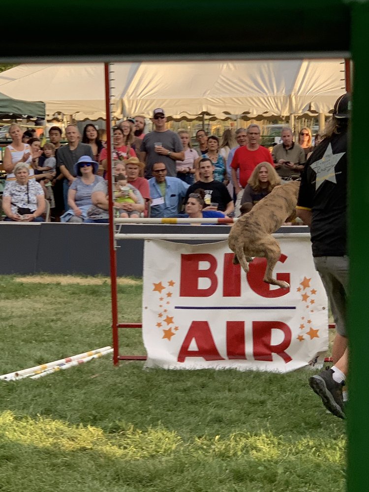 BOULDER COUNTY FAIR & RODEO - 10 Photos - 9595 Nelson Rd, Longmont ...