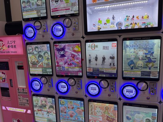 EBISU LIFE STORE - Updated December 2025 - 85 Photos & 14 Reviews - 1 American Dream Wy, East ...