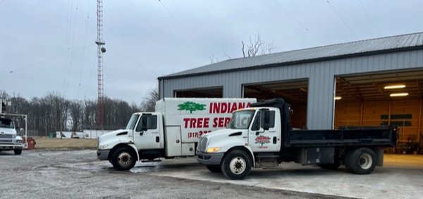 INDIANA TREE SERVICE - Updated December 2025 - 23 Photos & 10 Reviews ...
