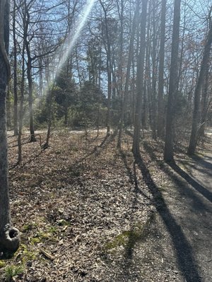 ECHO LAKE PARK - Updated December 2025 - 15 Photos - 5701 Springfield ...