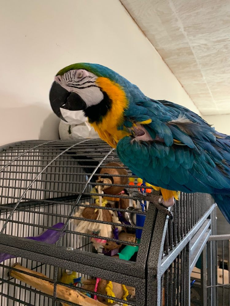 WALKER HOME TOWN ANIMAL CARE - Updated January 2026 - 25 Photos - 22940 ...