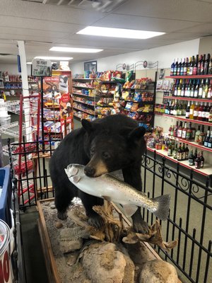 BEAR STORE - Updated August 2024 - 11 Photos & 13 Reviews - 6787 M 65 ...
