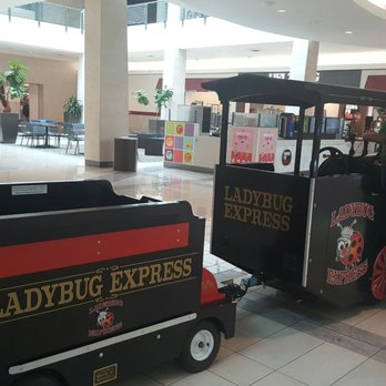 LADYBUG EXPRESS - Updated May 2025 - 2611 Preston Rd, Frisco, Texas ...
