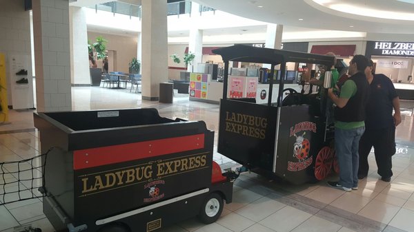 LADYBUG EXPRESS - Updated April 2025 - 2611 Preston Rd, Frisco, Texas ...