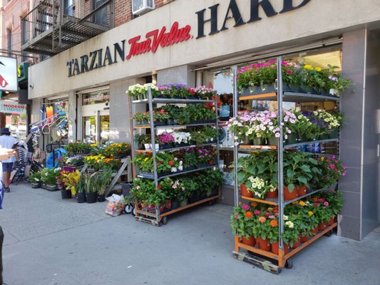 TARZIAN HARDWARE - Updated May 2026 - 32 Photos & 91 Reviews - 193 7th ...