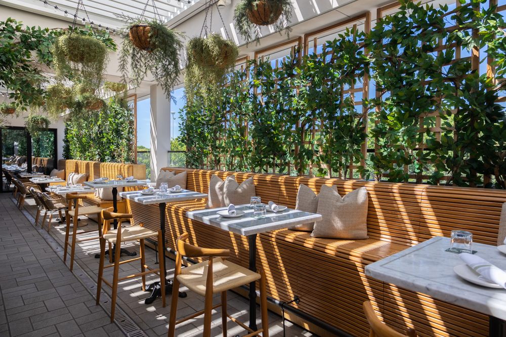 TERRA AT EATALY DALLAS - Updated January 2025 - 718 Photos & 362 ...