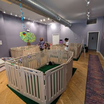 CUDDLE BUNNY - Updated November 2025 - 116 Photos & 56 Reviews - 2901 N ...