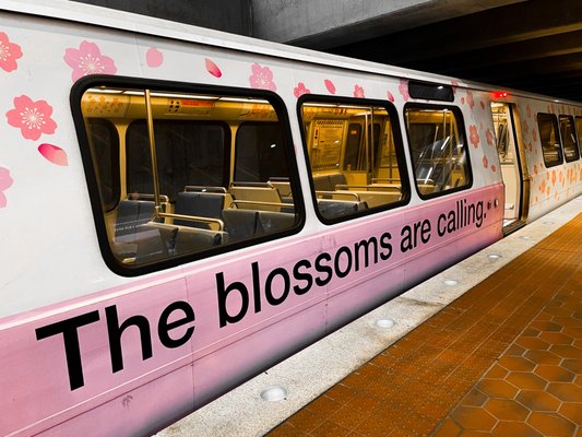 FRANCONIA-SPRINGFIELD METRO STATION - Updated December 2025 - 54 Photos ...