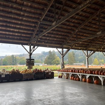 KNUTSON FARMS - Updated October 2025 - 155 Photos & 41 Reviews - 16406 ...