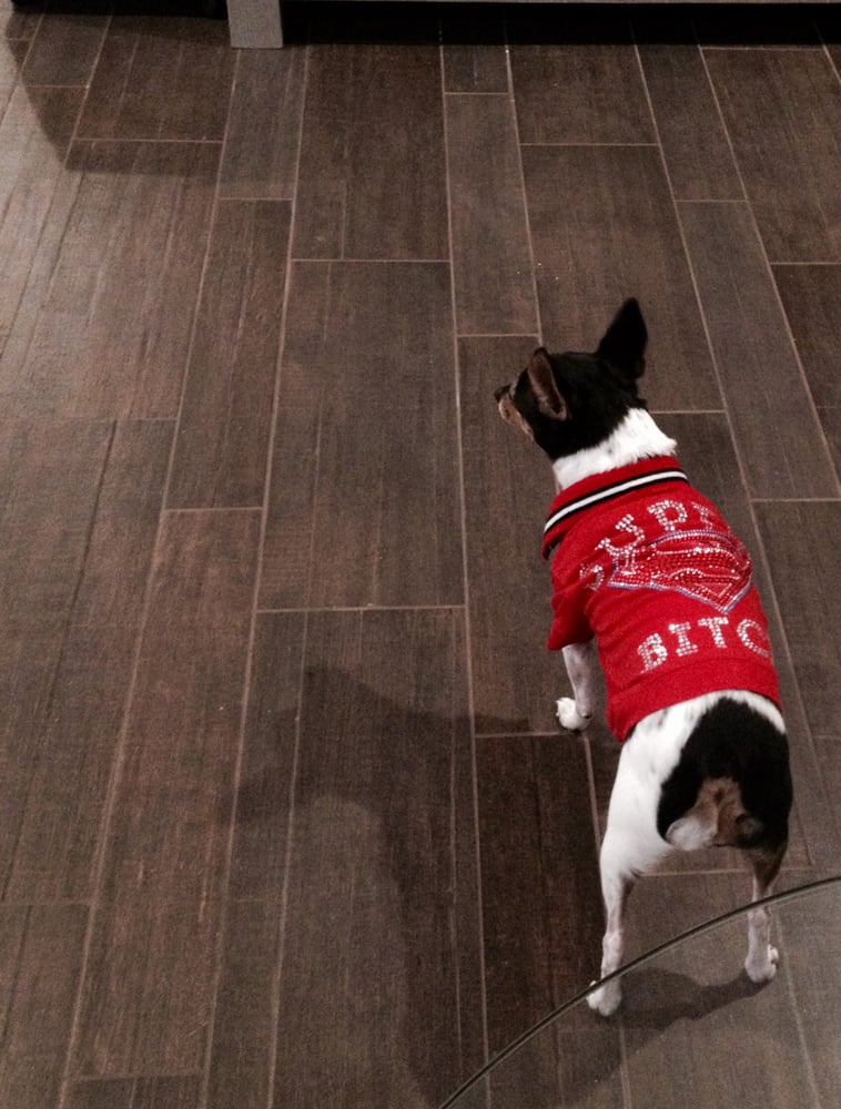 SUNSHINE GOODS - Updated November 2024 - 1940 N 30th Rd, Hollywood ...