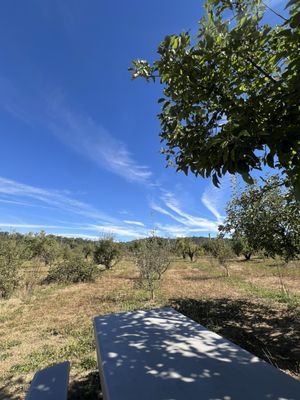 CALICO RANCH - Updated August 2025 - 18 Photos & 31 Reviews - 4200 Hwy ...