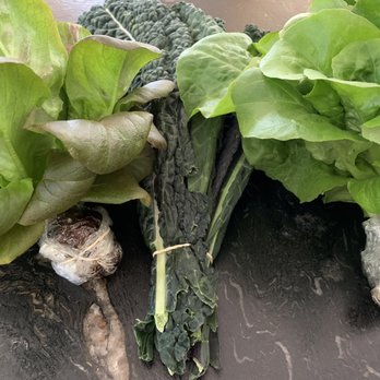 FRESH HEADS FARM SHOP - Updated January 2026 - 32 Photos - 7960 Reesor ...