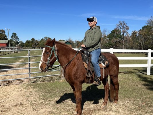 HILLTOP RIDING STABLE - Updated May 2026 - 12 Photos & 12 Reviews - N ...