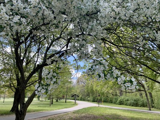 Foster Park And Golf Course Updated March 2025 3900 Old Mill Rd Fort Wayne Indiana Parks