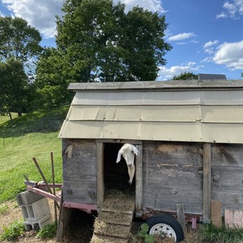 WHIPPLE HILL - Updated July 2025 - 17 Photos - 1625 Massachusetts Ave ...