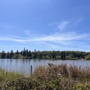 SPRING LAKE REGIONAL PARK - 494 Photos & 148 Reviews - 393 Violetti Rd ...